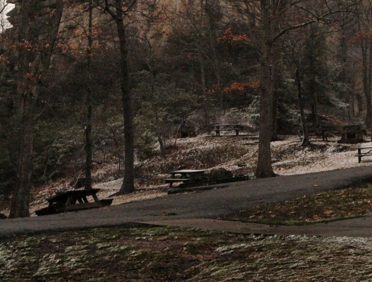 Top 8 Best Motorcycle Rides in West Virginia