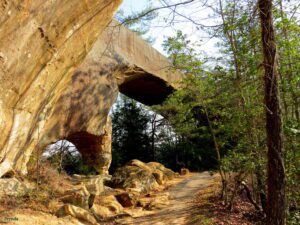 Discover the Best Motorcycle Rides in Kentucky