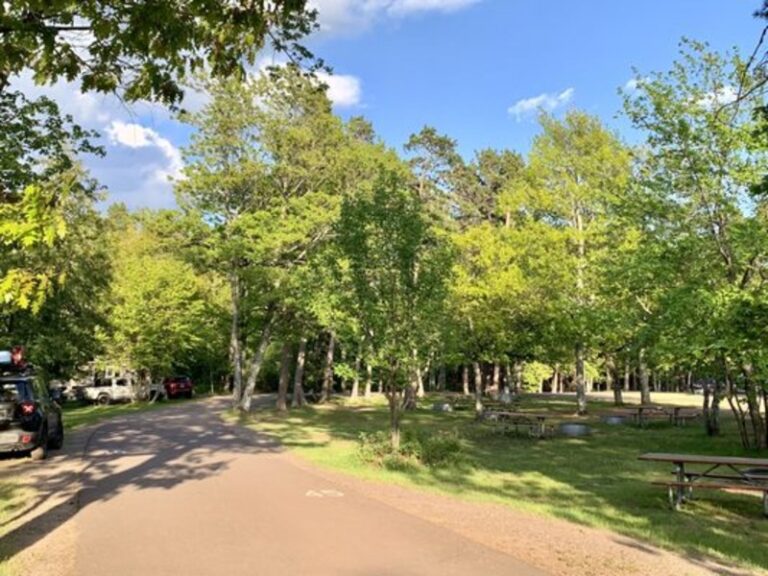 Top Motorcycle Rides in Michigan: Scenic Adventures Await